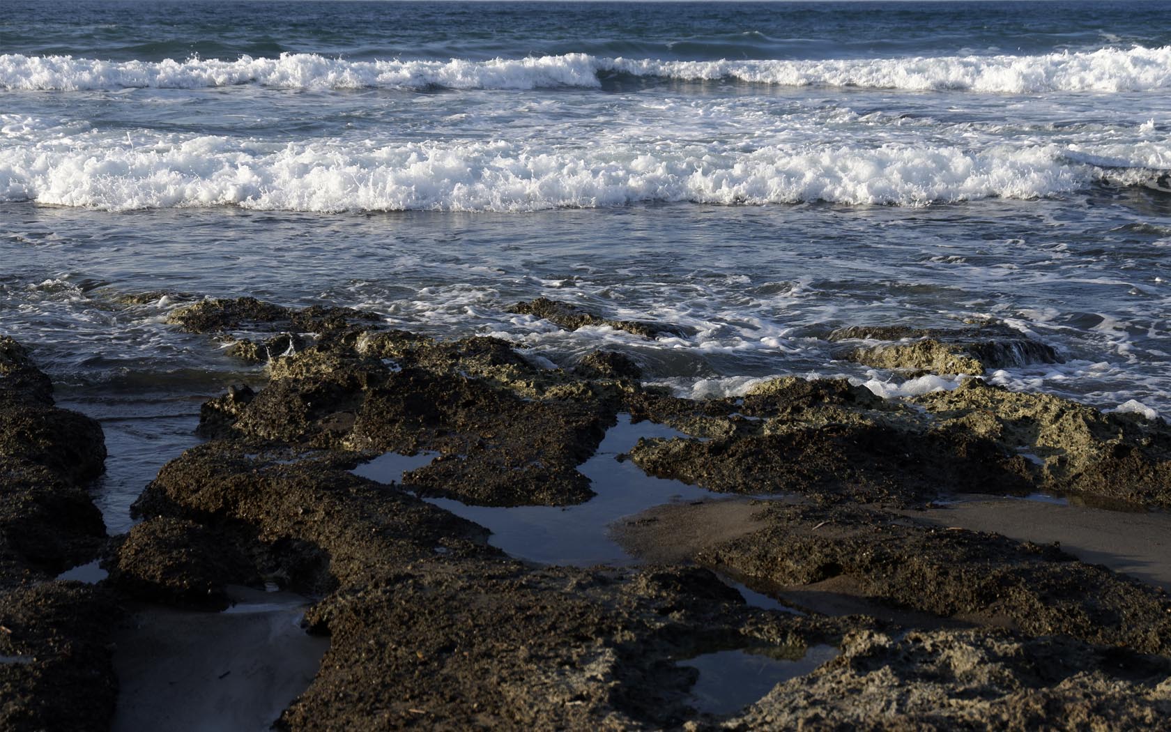 PBAC CTPL Admin Panel